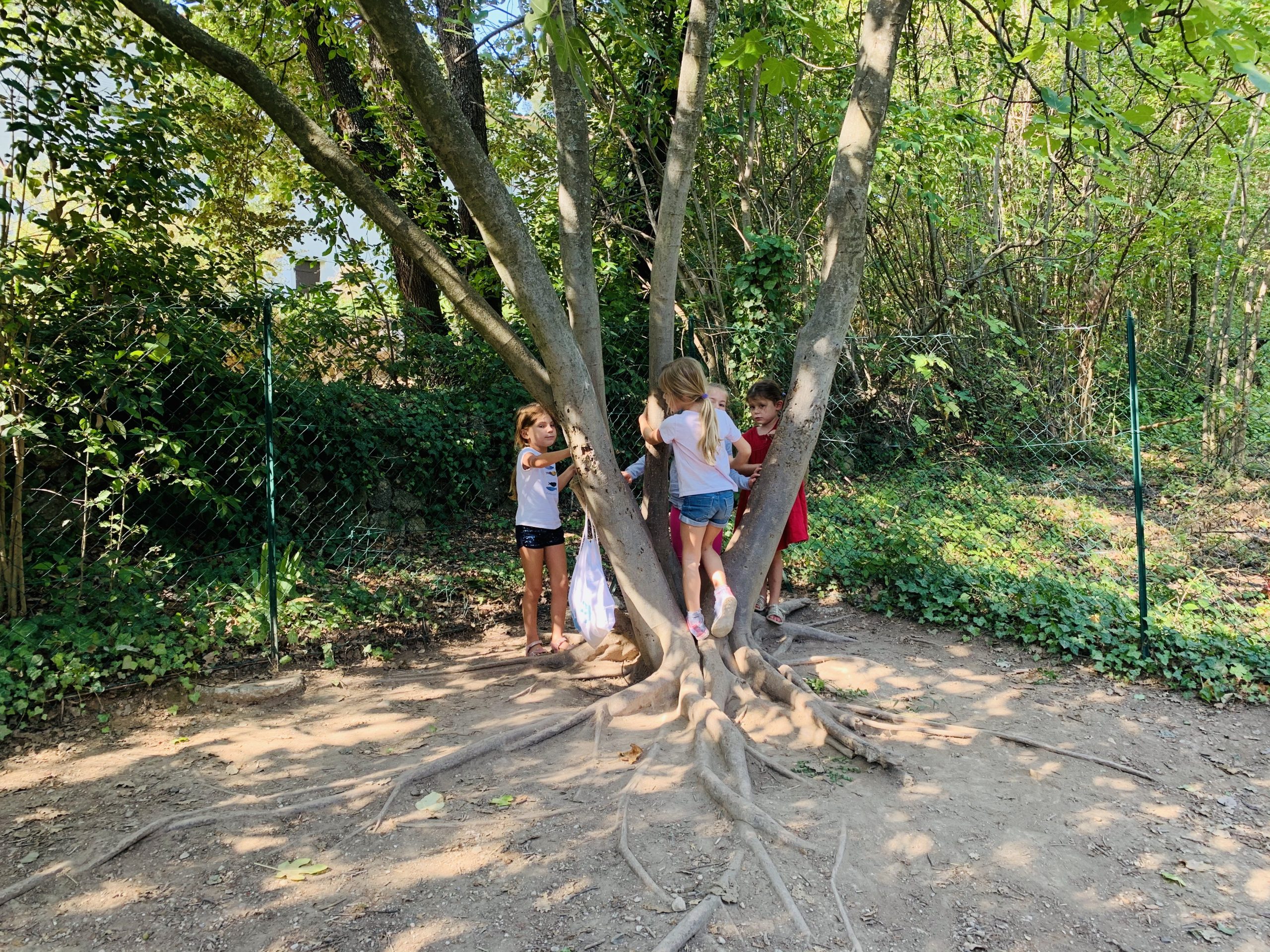 Dates des stages - Stages et Ateliers